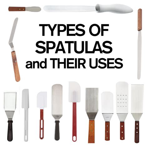 Lab Spatula Types