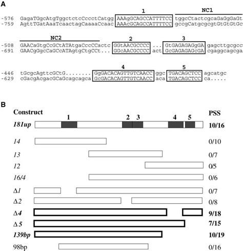 Defining A Minimal PSE A A Sequence Comparison Of D Melanogaster Download Scientific