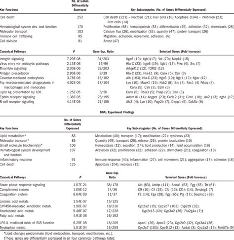 Ingenuity Pathway Analysis Of Apap And Dgal Microarray Data Apap Download Table