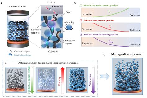 中国科大提出厚电极锂离子电池的多梯度微结构设计理论方案 中国科大新闻网