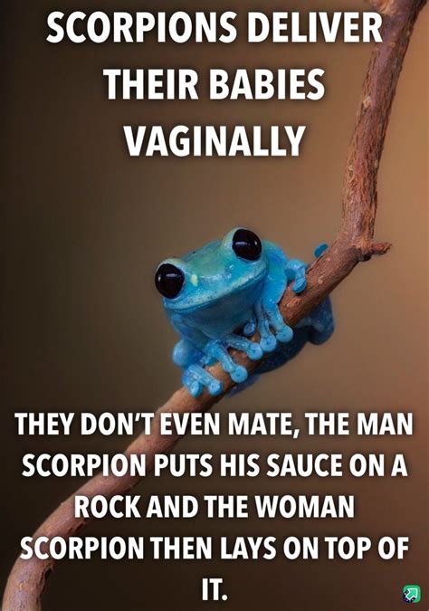 I Know Too Much About Bug Sex Meme On Imgur