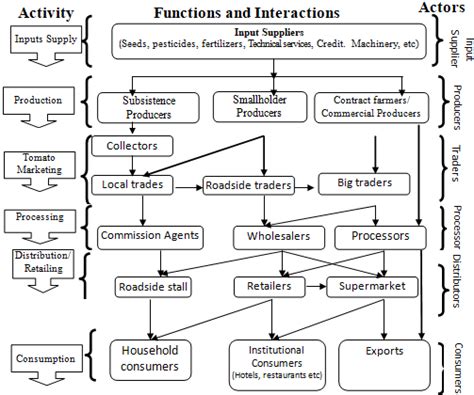 Linkages And Flow Of Tomato Value Chain In The Study Area Download Scientific Diagram