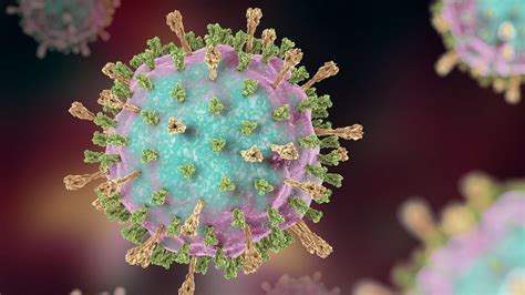 Us Measles Outbreak Tops 700 Cases In 6 States Heres What To Know
