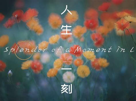 The Splendor Of A Moment In Life丨生命中瞬间的辉煌bentham边沁 站酷zcool