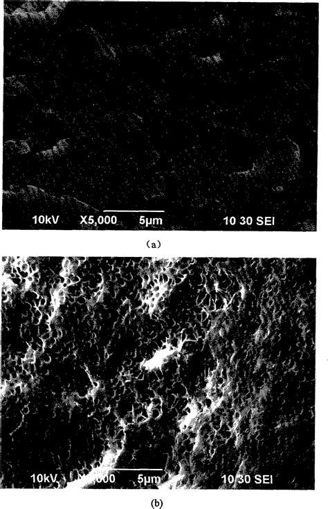 method for preparing acrylic ester functionalized copolymer for