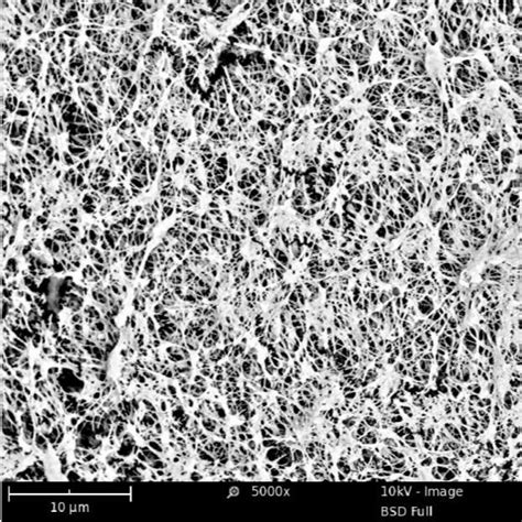 Microporous Hydrophobic Ptfe Membrane 0 05 0 45 Pore Size With Supporting Layer