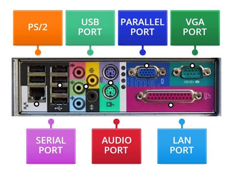 PORTS Labelled Diagram