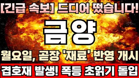 금양 주가전망 자회사 ‘에스엠랩 연내 상장예비심사 승인 촉각 최대 걸림돌 3공장 증설자금 조달 리스크 완전해결 기업가치 5~10배 폭증 유력 총력대응 금양