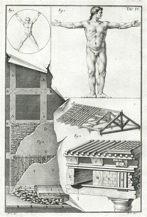 AA Library Proportions Architecture The Body Architectural Association Architecture