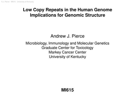 Ppt Low Copy Repeats In The Human Genome Implications For Genomic Structure Powerpoint