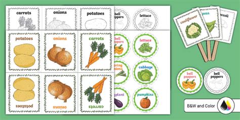 Vegetable Garden Labels ティーチャーメイド