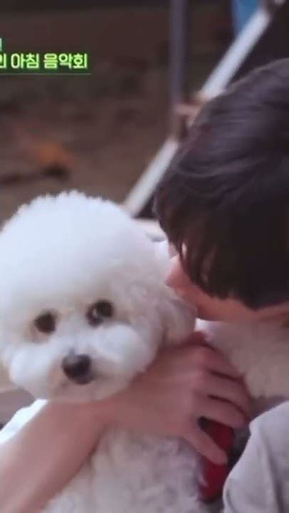 [더보이즈 영훈] 본격 강아지가 되고싶은 영상 Youtube