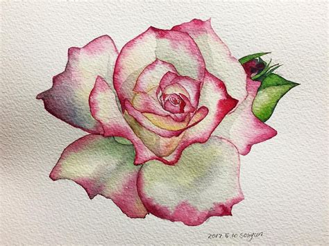 Rose By Marin0718 Thank You😍