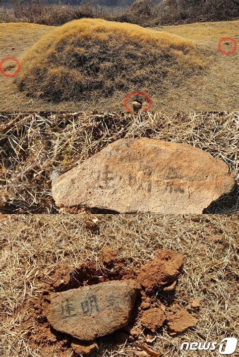 살 殺 적힌 무덤 돌…이재명 부모 산소 훼손에 경찰 조사 중 뉴스1