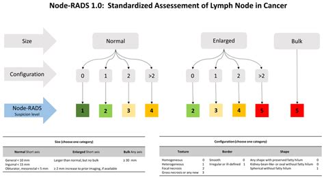 Explanation Of The Node Rads Scoring System Adapted From The Original