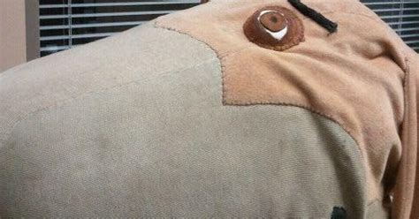 Laurie S Fall Blog Hub Where In The LRC Is Stevie Pointer