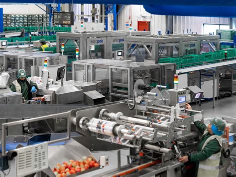 Reducing Production Bottlenecks With Integrated Packing Lines