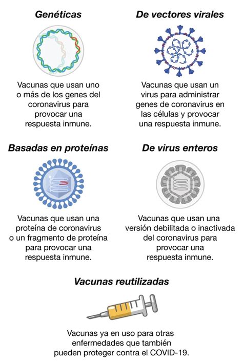 Así Está Hoy La Carrera Por La Vacuna Contra El Coronavirus Cuáles Son