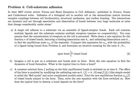 Problem 4 Cell Substrate Adhesion In Their 2007