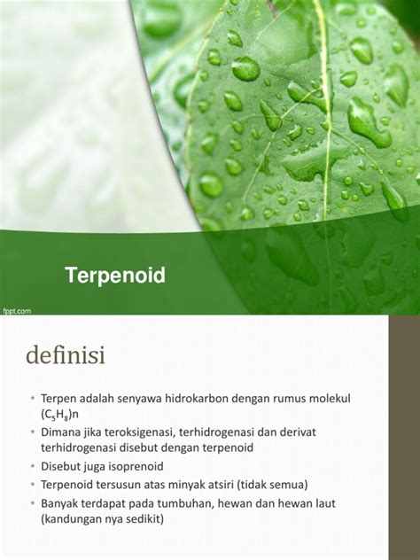 Terpenoid Pdf