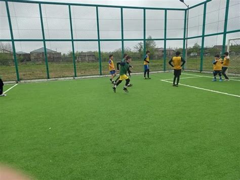 შავღელეს საჯარო სკოლაში საბაზო საფეხურის მოსწავლეთა შორის მინი ფეხბურთში შიდასასკოლო ფესტივალი