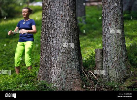 Nature Therapy Qi Gong And Forest Bathing Also Known As Shinrin Yoku France Stock Photo Alamy
