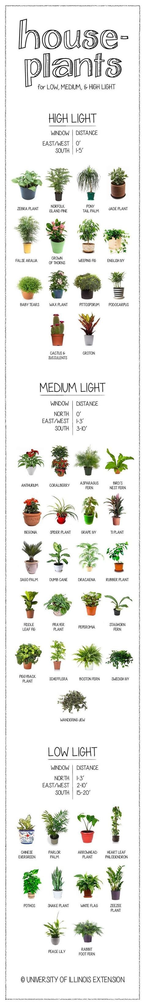 Gardening Cheat Sheets Plants Planting Flowers Indoor Plants