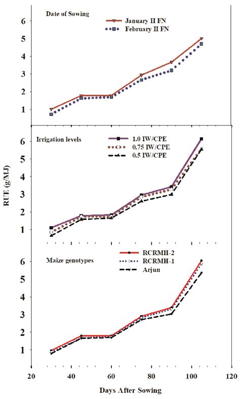 Radiation Use Efficiency Rue Gmj Of Summer Maize Hybrids Based On