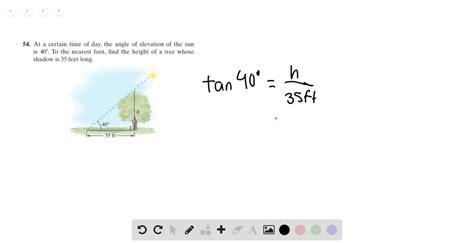 Height Of A Tree To Estimate The Height Of A Tree