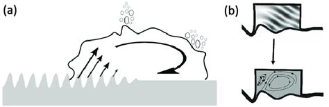 Schematic Cross Sectional Representation Of The Different Fluidic Download Scientific Diagram