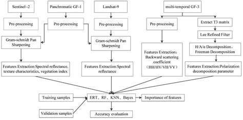 Methodological Framework For Mangrove Species Identification