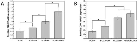 quantitative real time pcr analysis of osteogenesis related gene