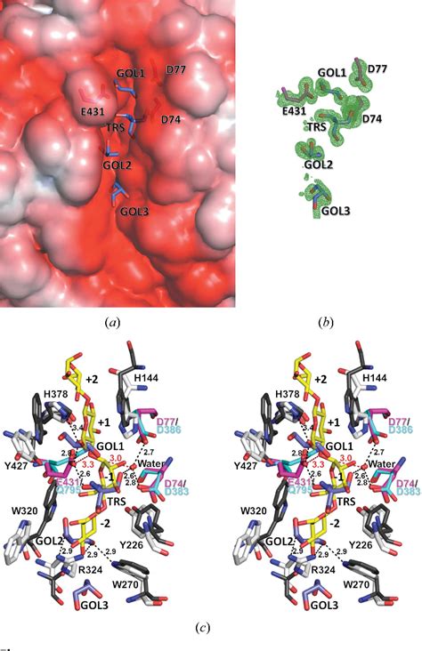 Figure 3 From Diffraction Structural Biology Synchrotron Radiation Crystal Structure Of Endo 1 4