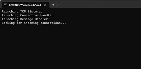 Github Mors1a4tcp Chat This Is A Server And A Client Built In C In