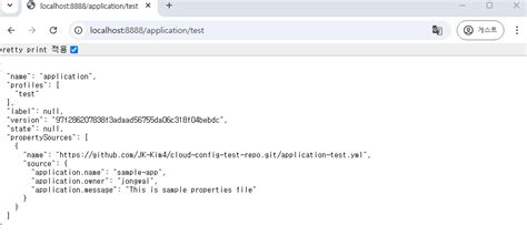 Spring Spring Cloud2 Config Client