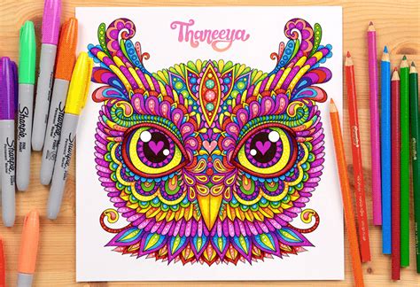 Owls Drawings In Color