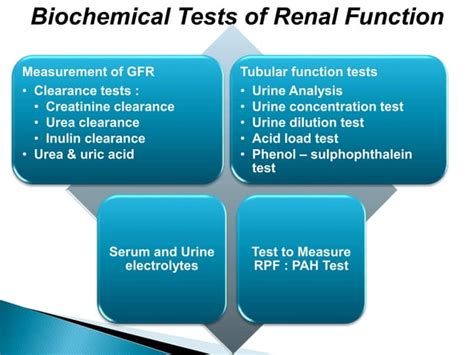 Renal Function Tests Pptx
