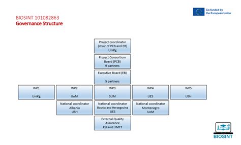 Biosint Project Project Org Structure