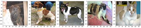 How Does Data Augmentation Reduce Image Classification Overfitting