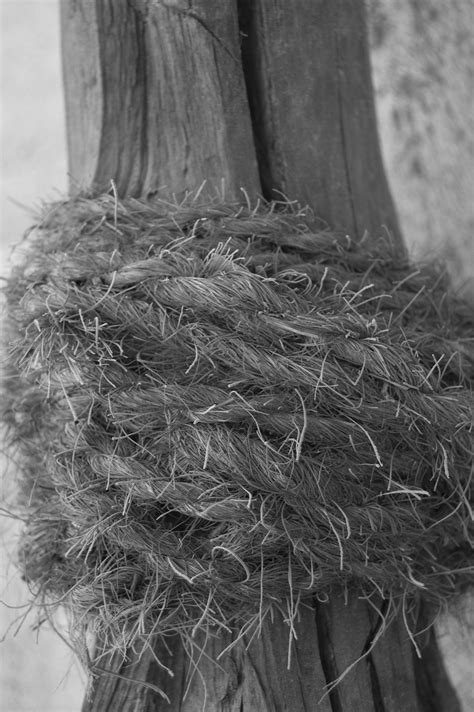 Free Tied Up Tied Images Pixabay