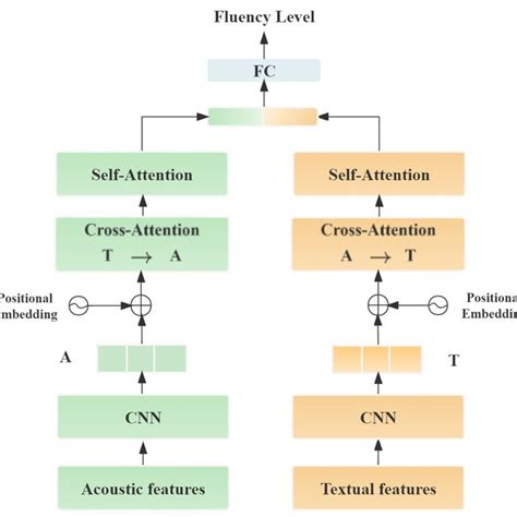 The Architecture Of The Multimodel Model Download Scientific Diagram