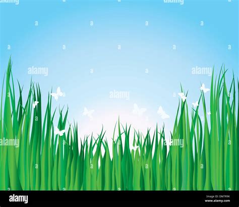 Grass Bed Stock Vector Images Alamy