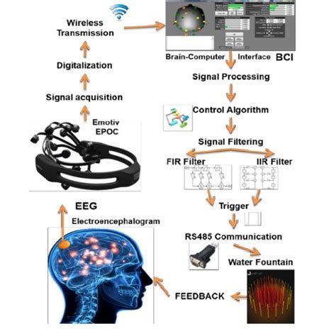 General Diagram Of The Complete Operation Of The Eeg Bci Integrated System Download Scientific