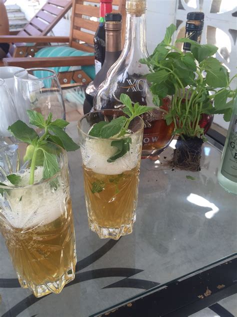 Cognac Cocktails 30 Recipes History And Ultimate Guide