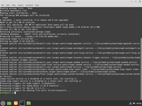 How To Enable Snap On Linux Mint 20 And Install Snap Packages
