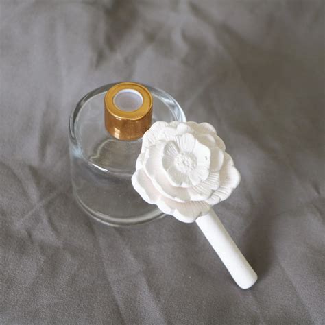 Sleep Reed Diffuser Aesop Reed Diffuser Rattan Reed Sticks Weddells