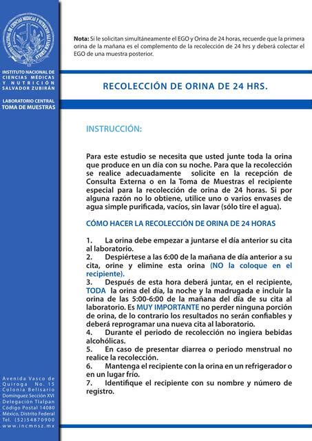 Recolección De Oringa 24 Horas Eylian Alayna Baptista Vargas Udocz