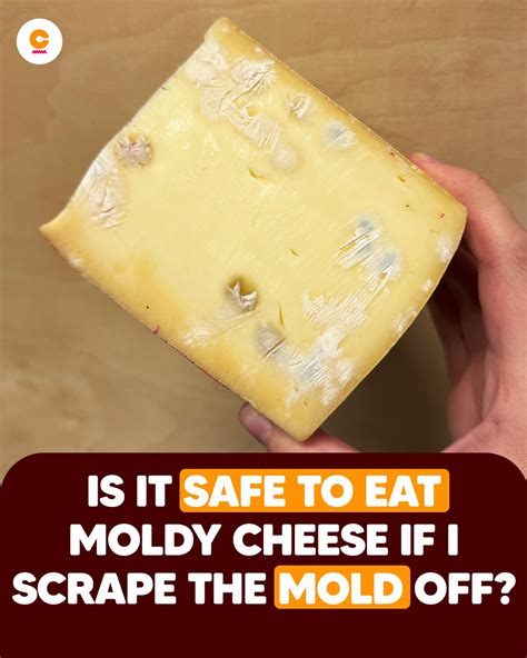 Cookist 🧀 About To Eat Cheese With Mold On It Stop Right There 😱