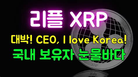 리플 Ceo 갈링하우스 한국에 통 큰 결단 발표 Youtube