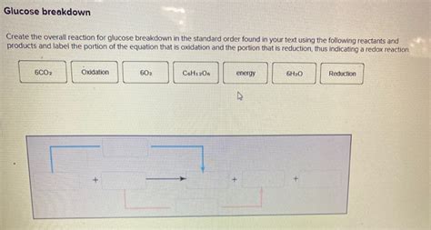 Solved Glucose Breakdown Create The Overall Reaction For Chegg